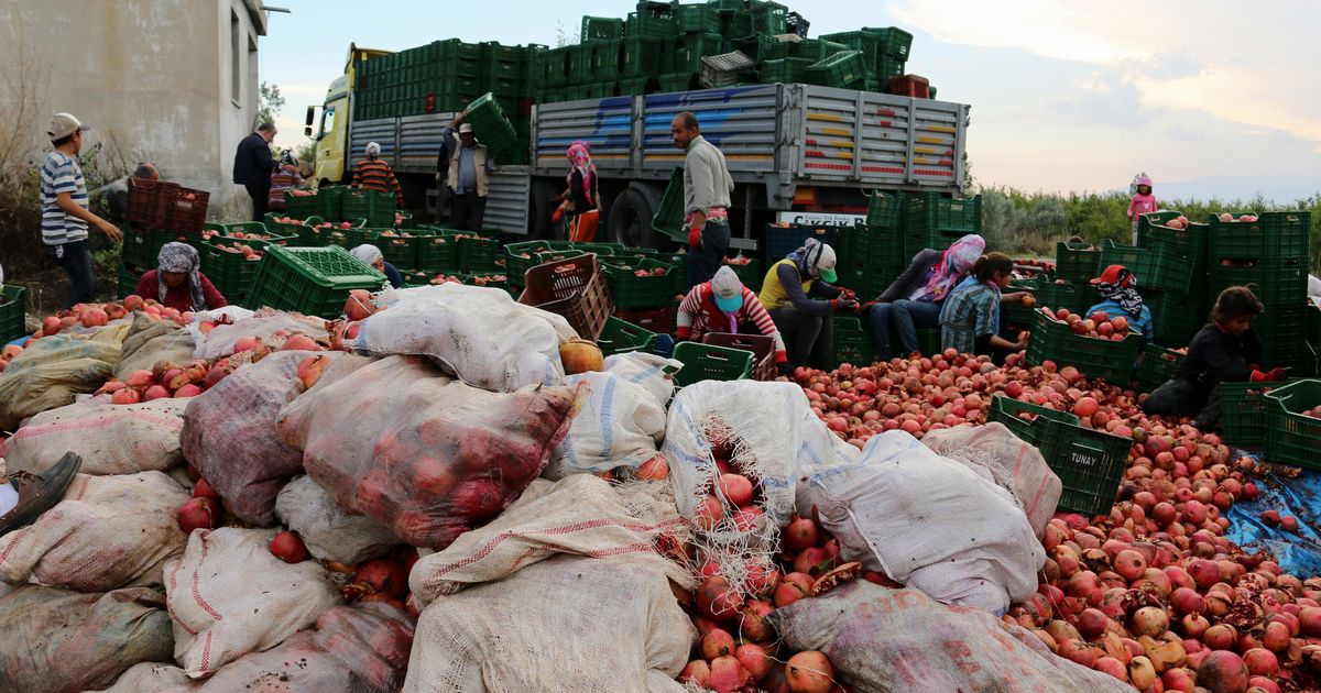 The UNDP’s Proposal for a ‘Türkiye Compact’ - Center for Applied Turkey ...